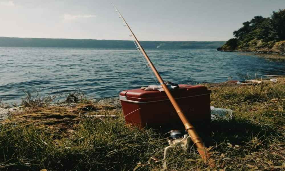 Shallow and Deep Fishing for Hot Water Bass | Guidesly