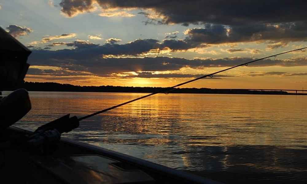 Fishing Pole vs. Fishing Rods: What's the Difference | Guidesly