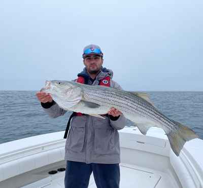 The Striped Bass Migration (Complete Guide) | Guidesly