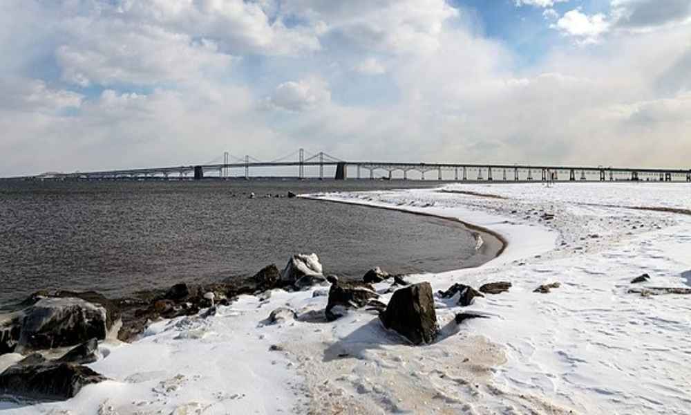 Best Fishing Spots in the Chesapeake Bay